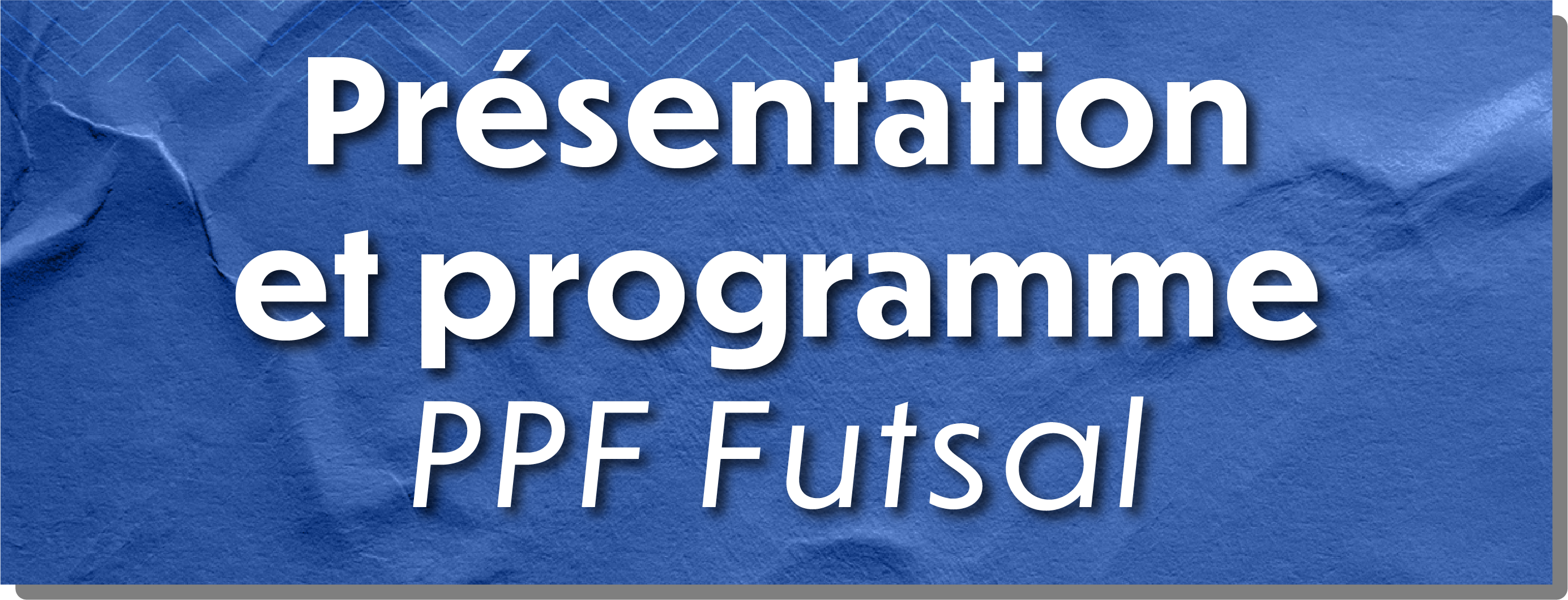 PPF Futsal – Ligue Auvergne-Rhône-Alpes de Football