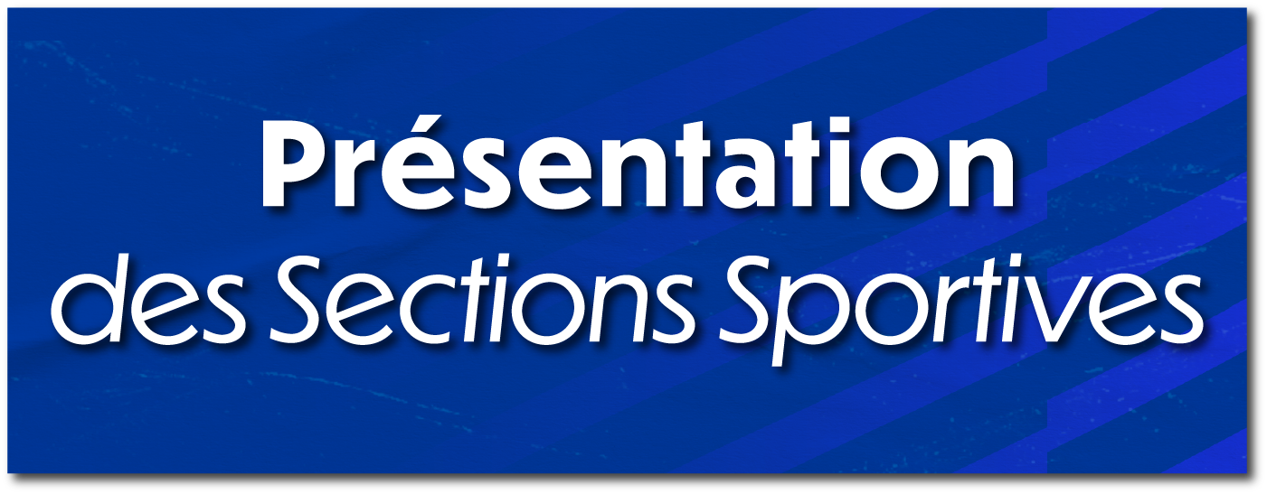 Sections Sportives – Ligue Auvergne-Rhône-Alpes de Football