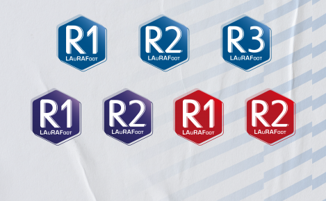 Utilisation des logos des championnats régionaux – Ligue Auvergne-Rhône ...